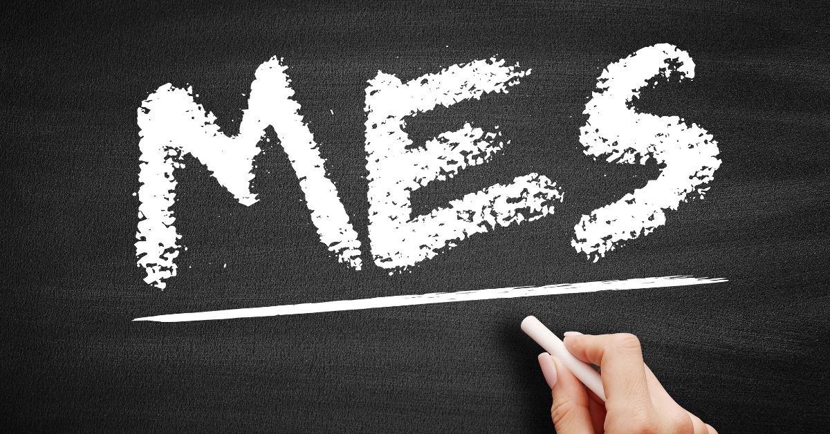 Sei un’azienda manifatturiera e stai pensando di introdurre un software ...